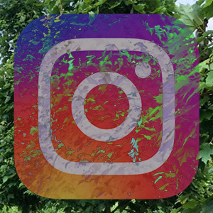 Plants delivered – Flora to you